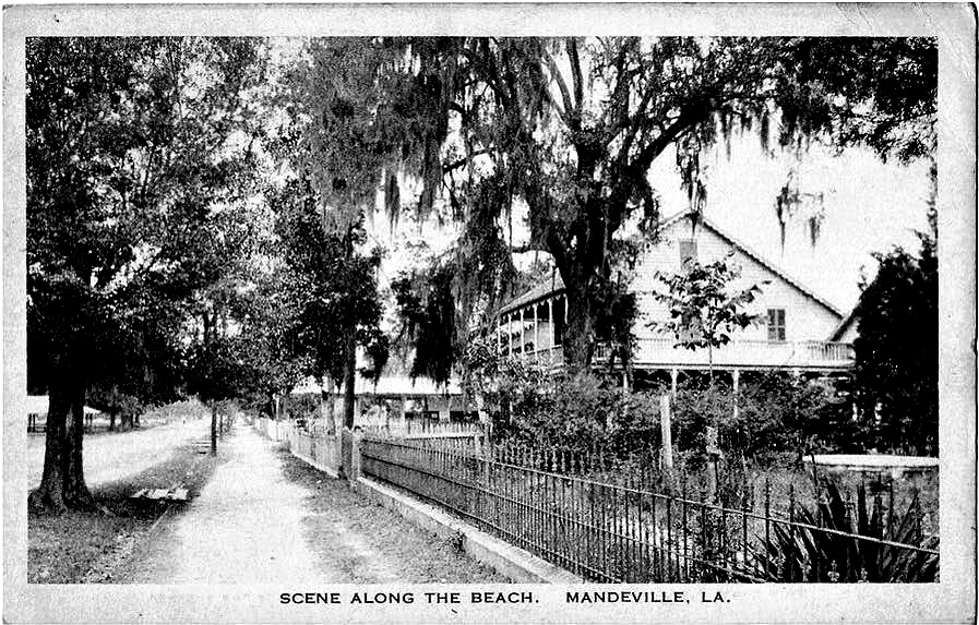 Tammany Family: Old Mandeville Street Scenes