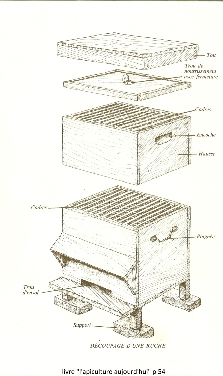 Sauvons les Abeilles du monde: Élements d'une ruche