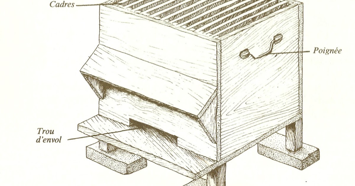Sauvons les Abeilles du monde: Élements d'une ruche