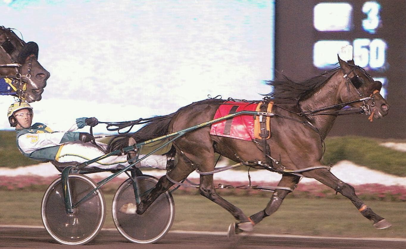 The FREDERICTON SCENE: The Greatest Horses ever developed at ...