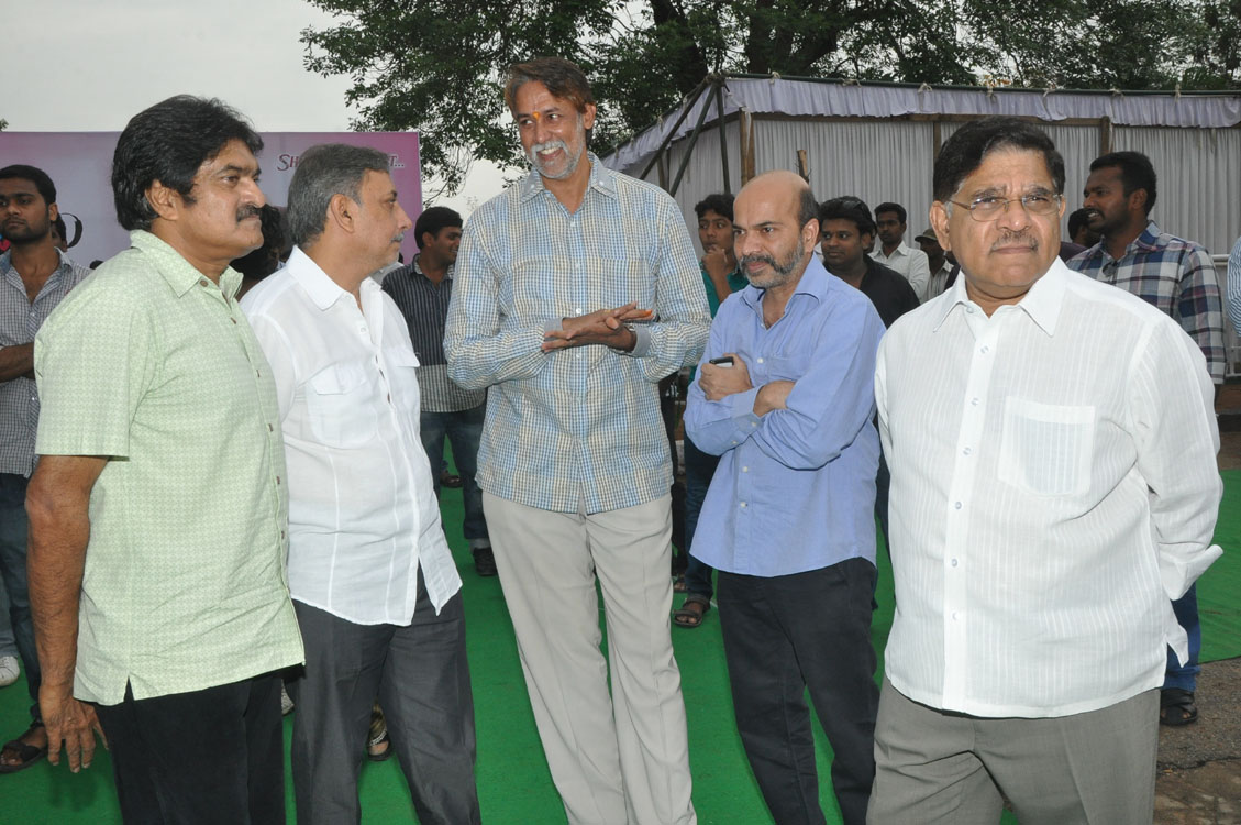 Kotha Janta Movie Launch - Hot PHOTOSHOOT Bollywood, Hollywood, Indian ...