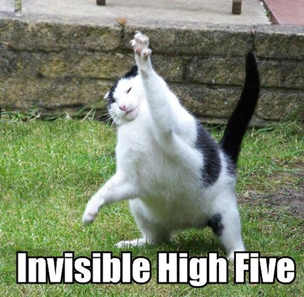 Invisible High Five | Funny Cat Pictures