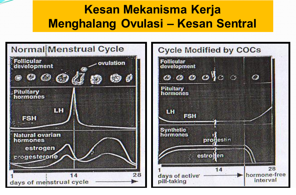 Family Planning Support Group Sabak Bernam - Kumpulan Sokongan ...