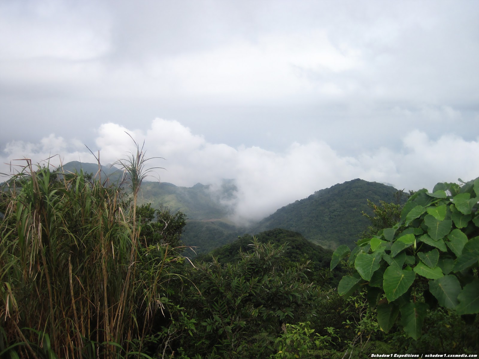 Conquering the Malepunyo Mountain Range (1002+MASL) : Schadow1 ...