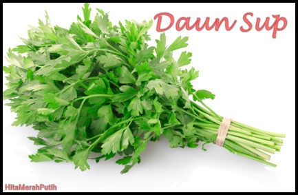 Khasiat Daun Sup
