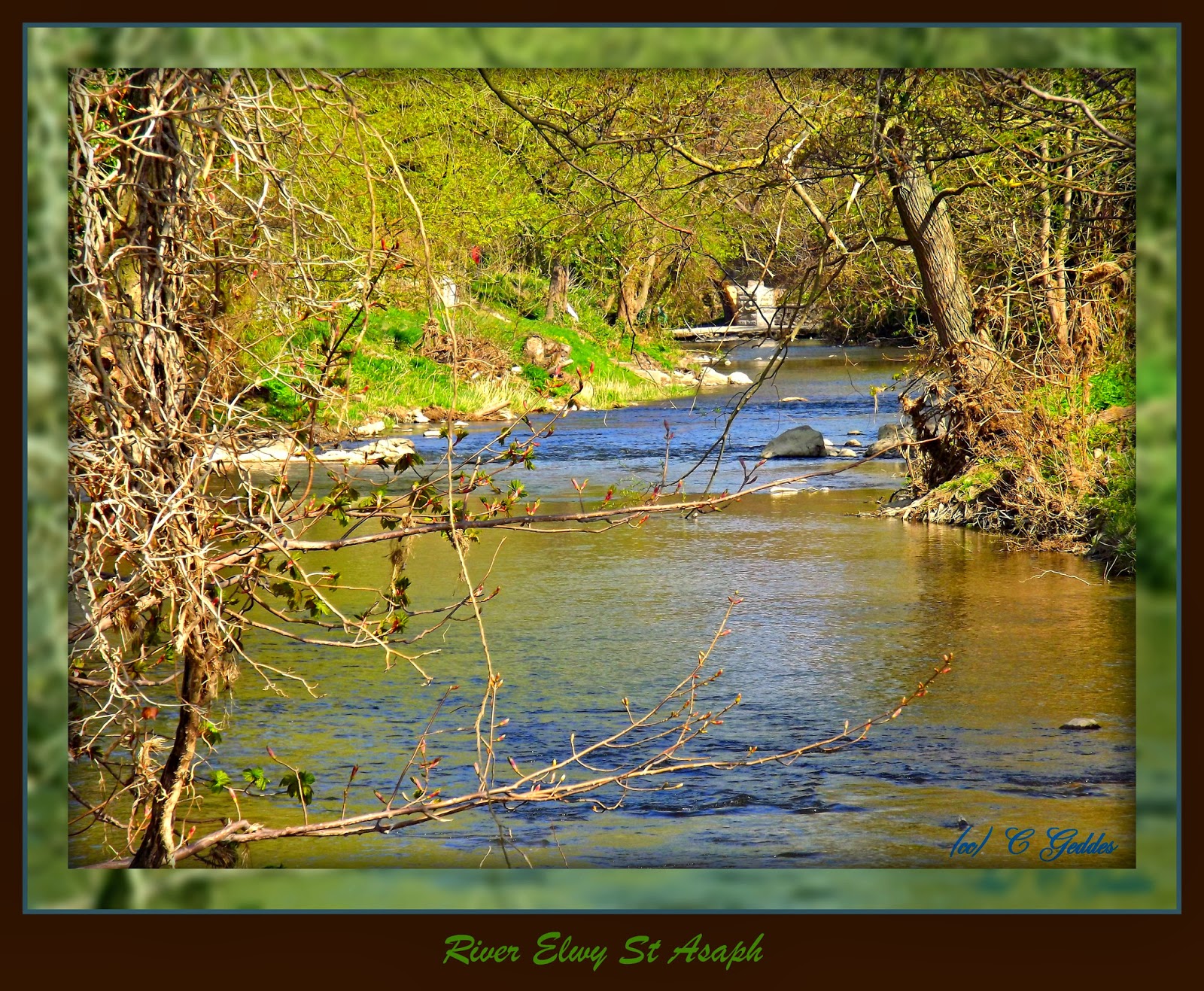 River Elwy and surrounding area Birds, wildlife and more.: Photographs ...