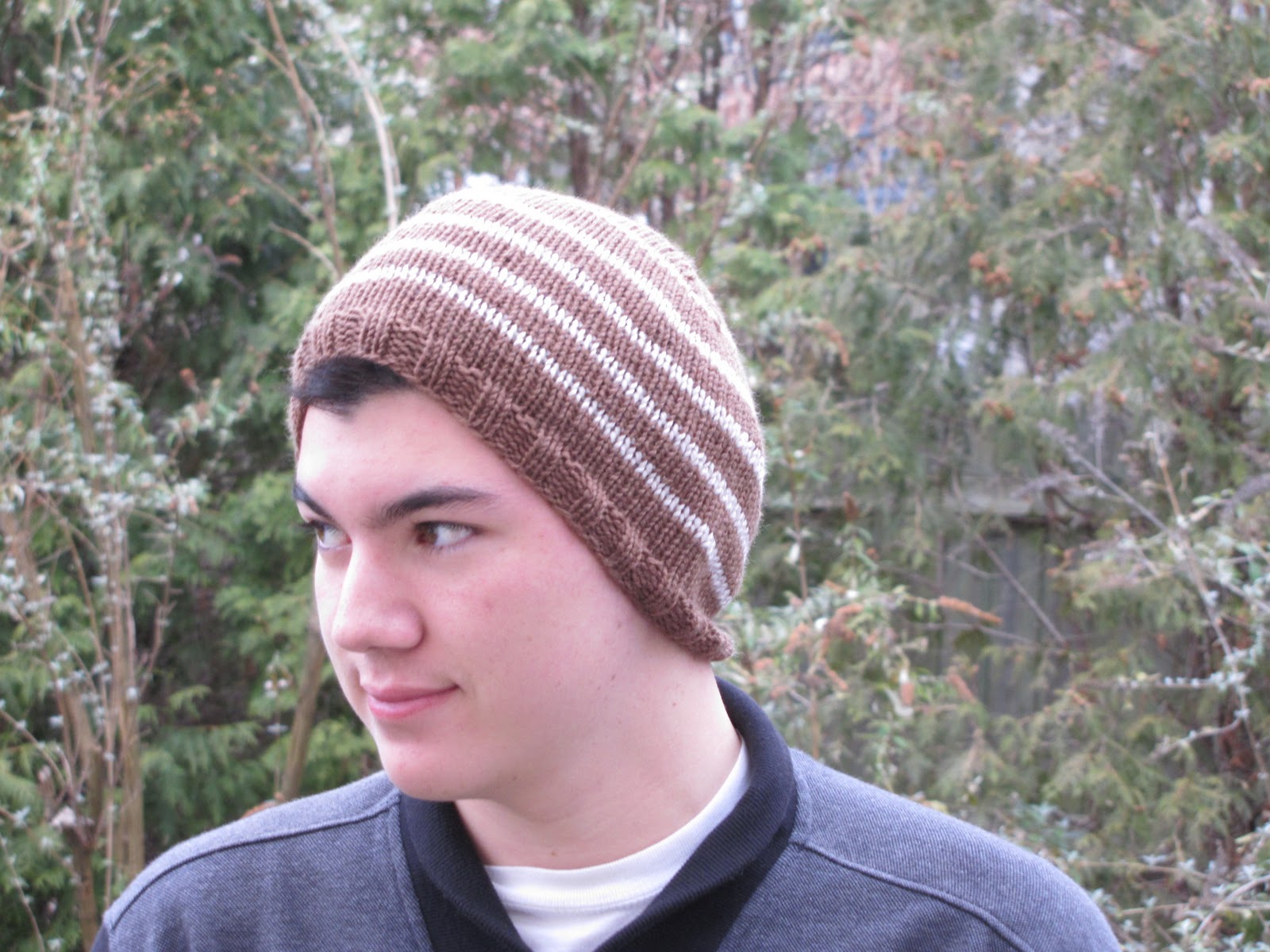 Project: Stash: Xavier Beanie