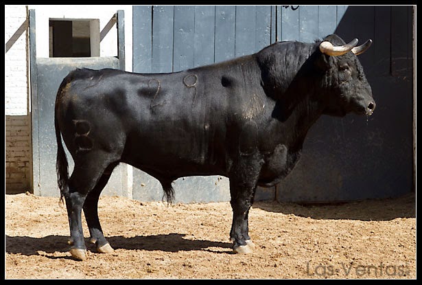 Lascosasdeltoro: 2014-05-11