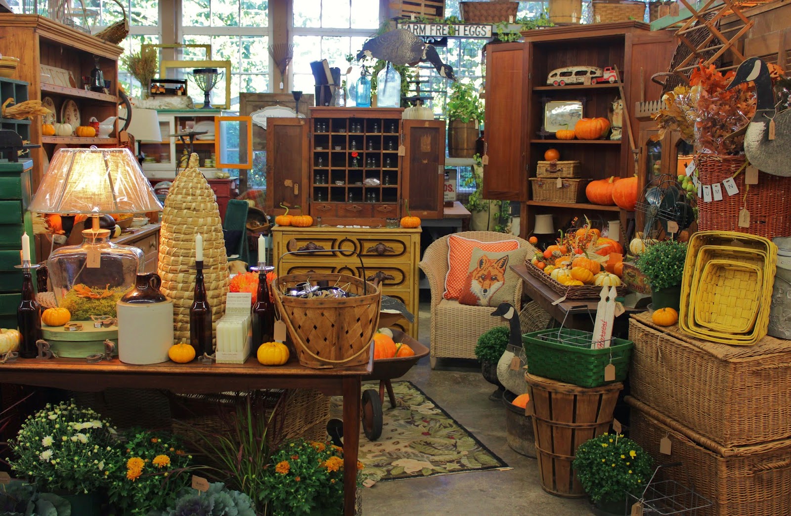 Monticello Antique Marketplace: Fall is in the air at Monticello...