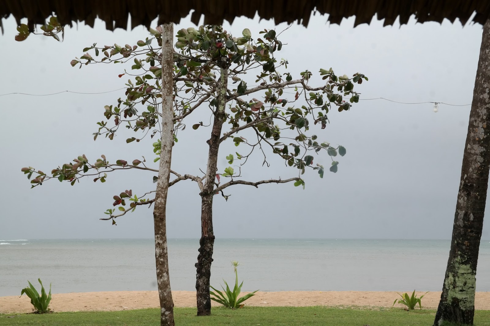 Sand Under My Feet: Calaguas Island Travel Diary: Pulang Daga Beach ...
