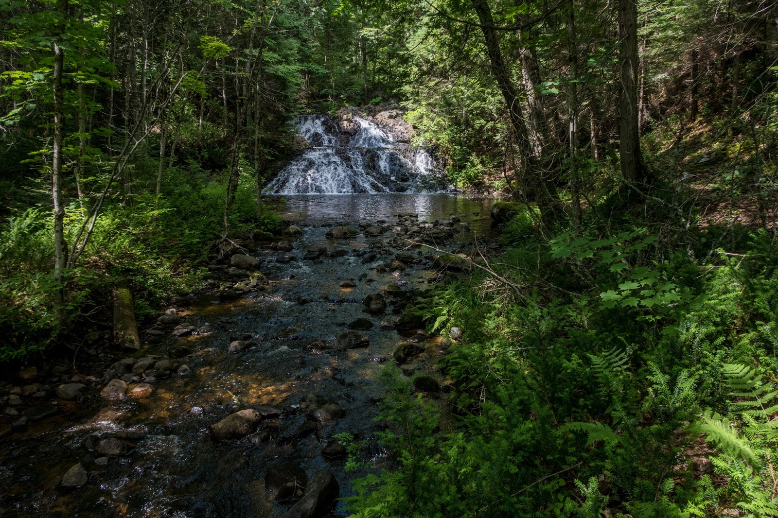 Eric's Hikes: Voyageur Trail: Harmony and Stokely Trails