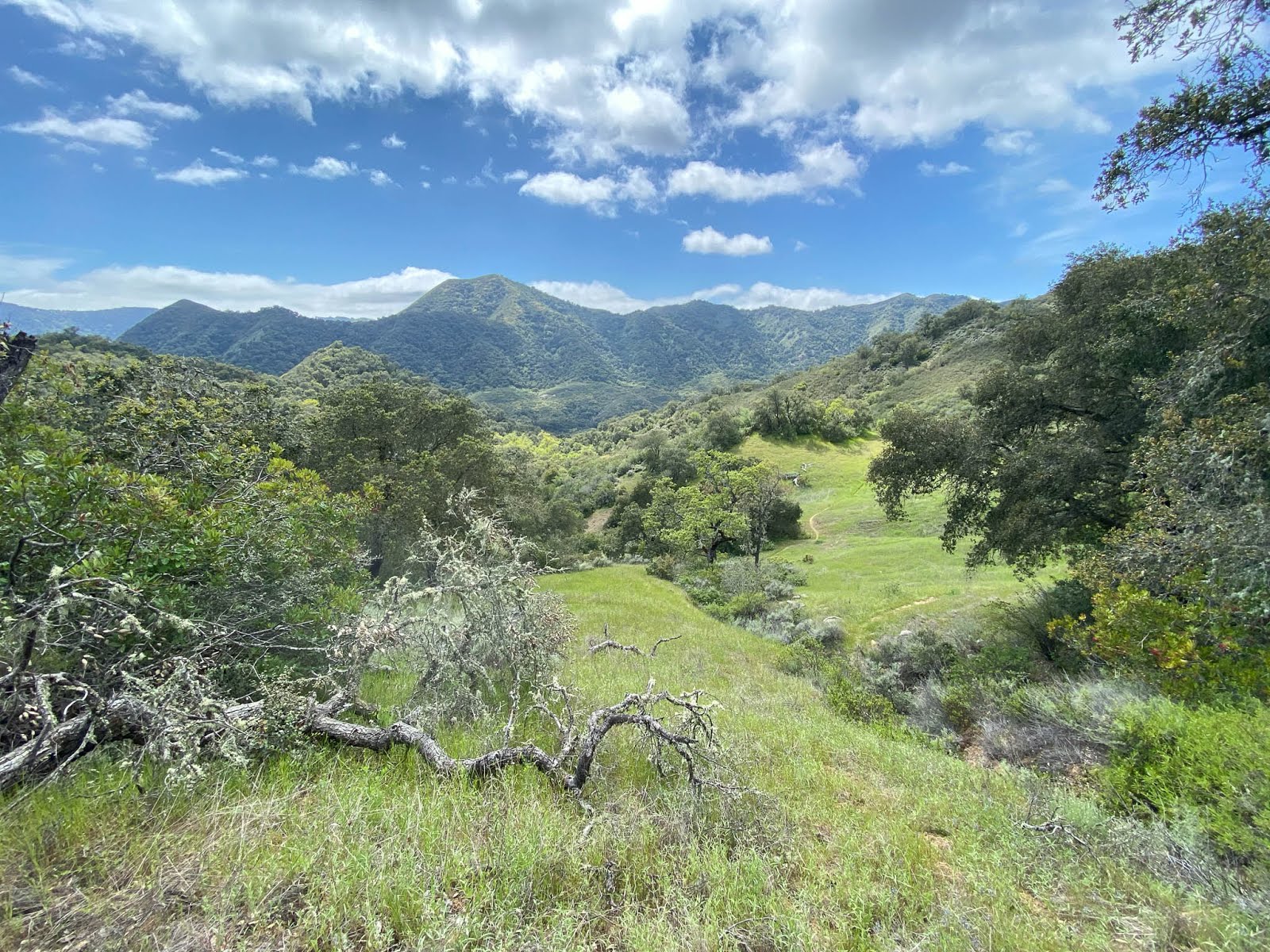 Section Hiking The Condor Trail: Cuesta Pass on the 101 to Adobe TH on ...