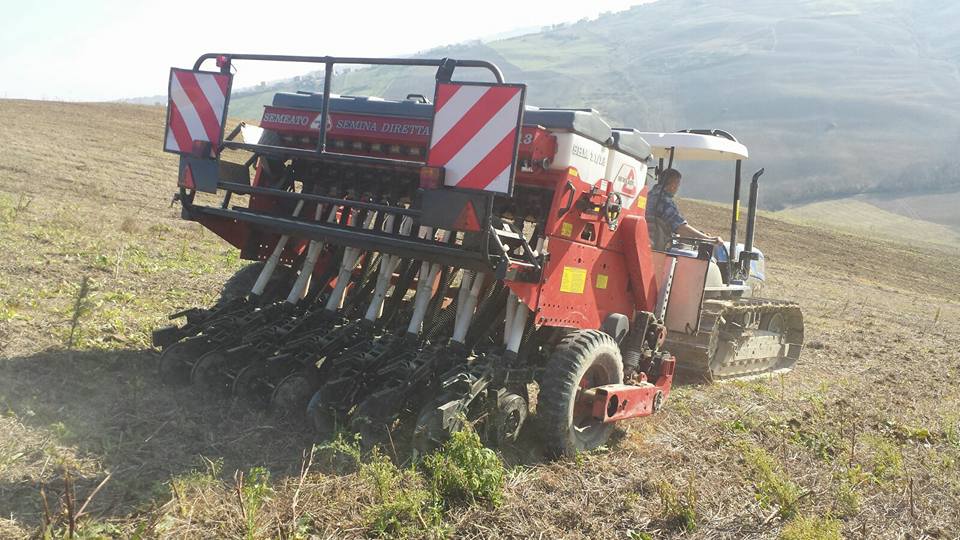 CEREALI 2.0: SEMINA SU SODO-