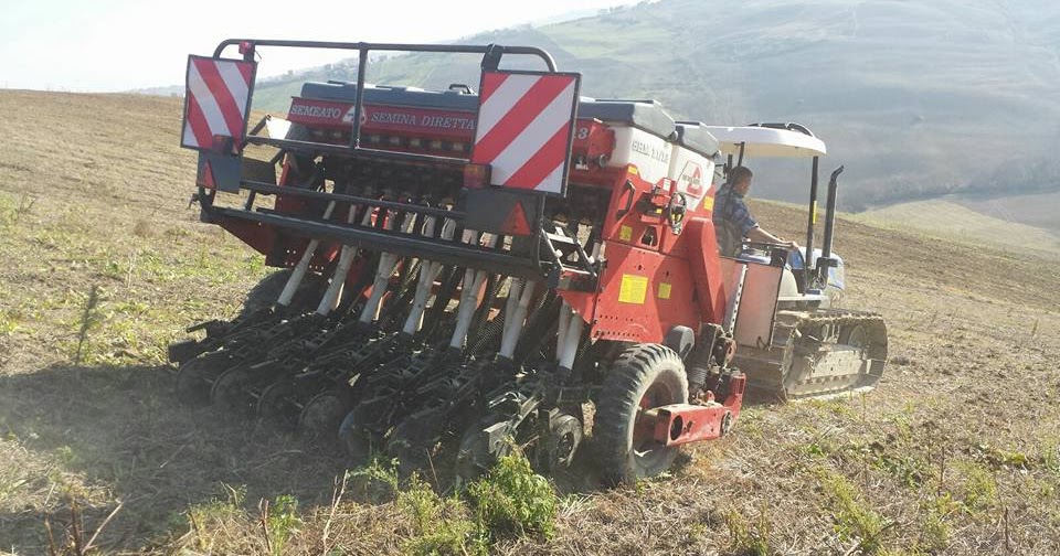 CEREALI 2.0: SEMINA SU SODO-