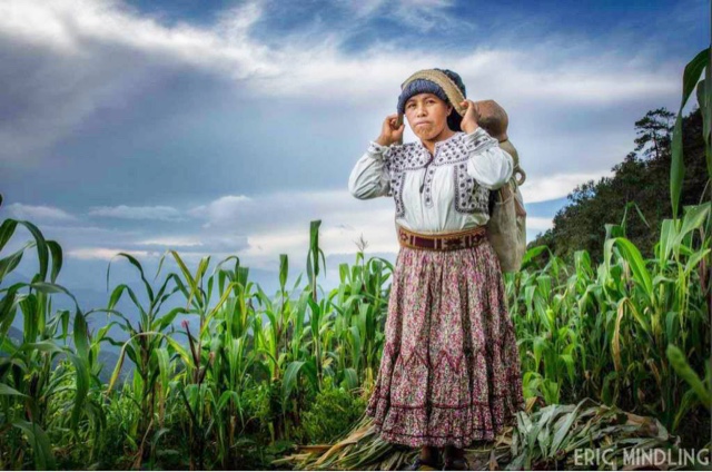 Trajes tipicos de la region Mixe: Galeria de imagenes