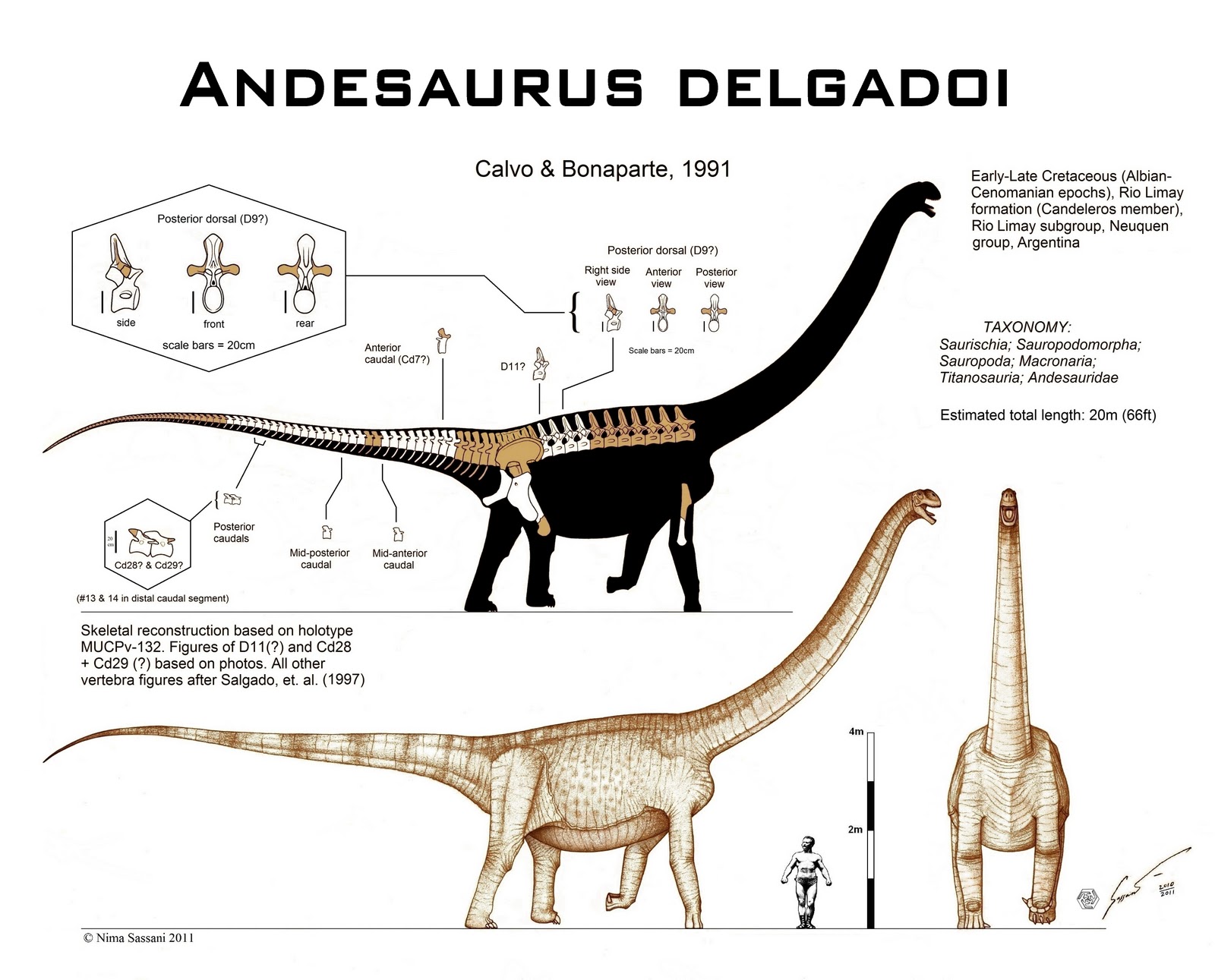 Andesaurus - Alchetron, The Free Social Encyclopedia