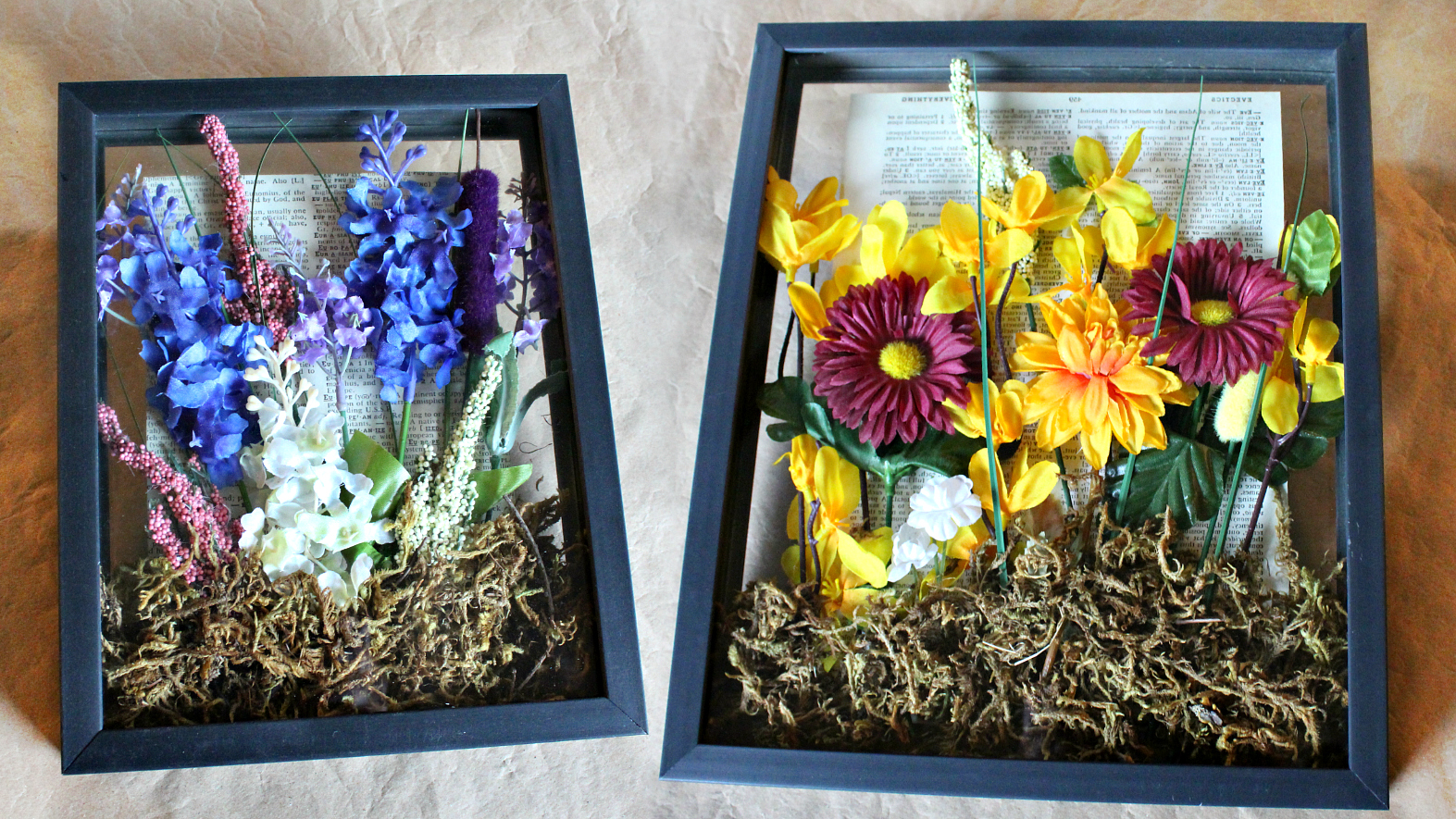 Mark Montano: Nature Diorama DIY