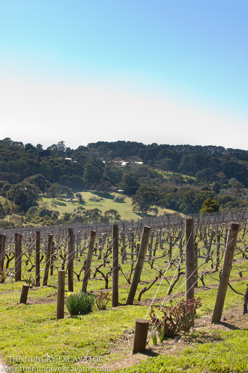 The Hungry Excavator: Paringa Estate Winery & Restaurant, Red Hill South
