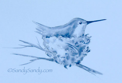 *Sketching Every Day*: Hummingbird Sitting On Nest