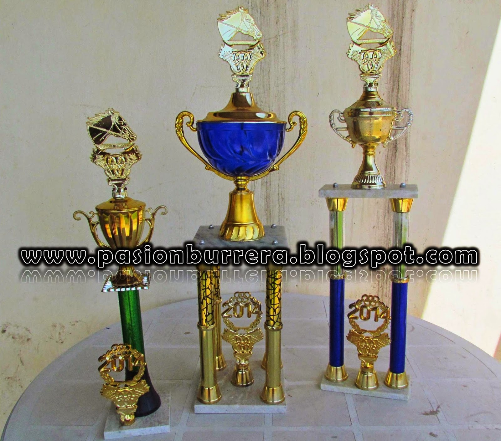 PASION BURRERA: Progreso, Santa Fe (26-10-14)