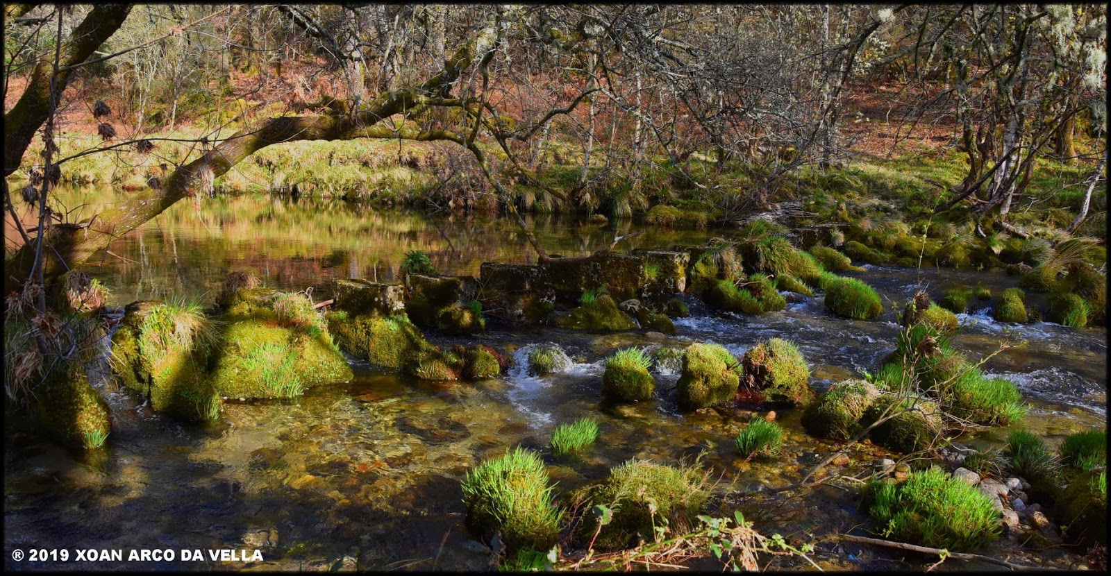 XOAN ARCO DA VELLA: PASOS DO RÍO BERDUGO - O TOXAL - A LAMA