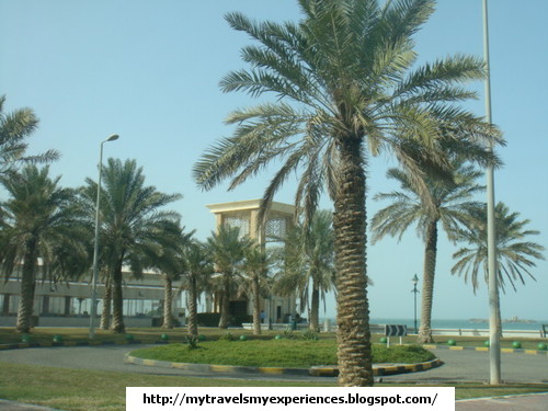 My Travels,My Experiences: How Green is Kuwait?