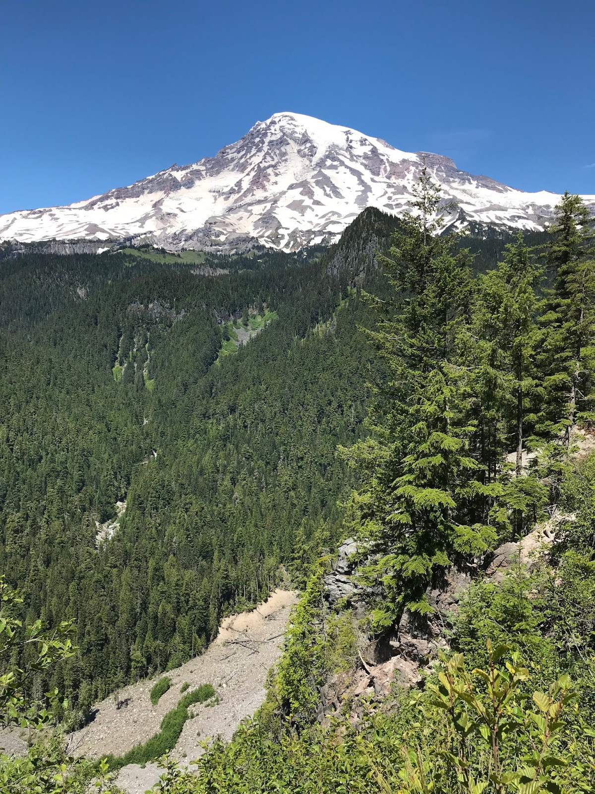 Mount Rainier Eruption 1894