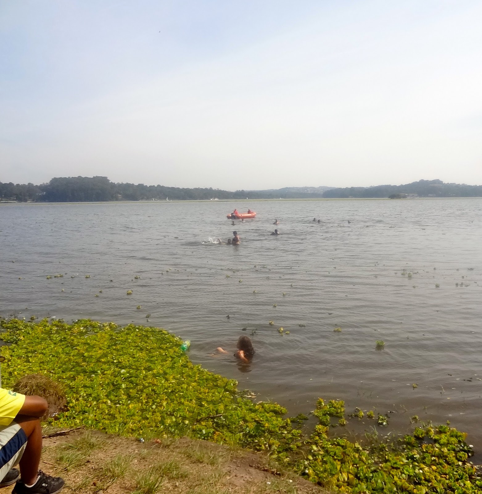 Parque Praia São Paulo - Praia do Sol em São Paulo ~ Áreas Verdes das ...