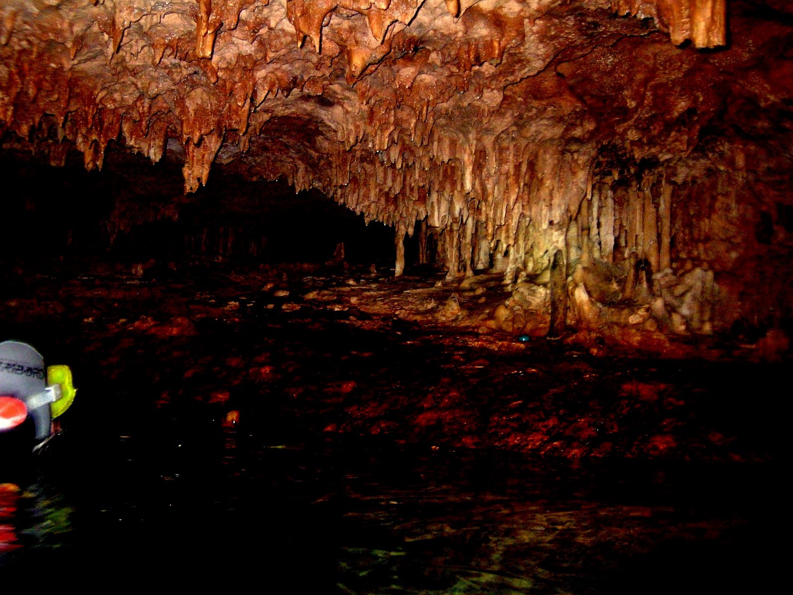 Sea Slug and the Turtle: Cueva del Diablo (The Devil's Cave) Mallorca