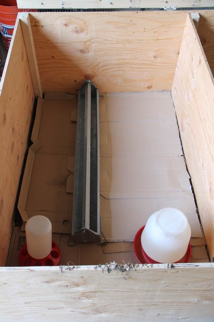 The Homestead Laboratory: A Fancy New Brooder Box