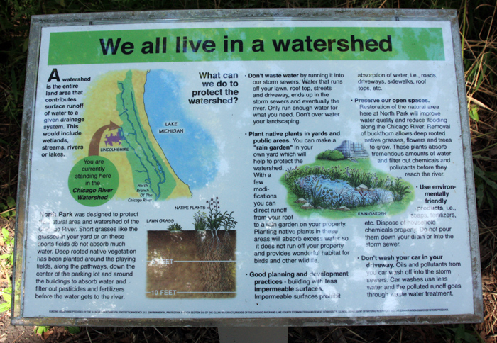 Urban Wilderness: North Park, Lincolnshire, IL: We all live in a watershed