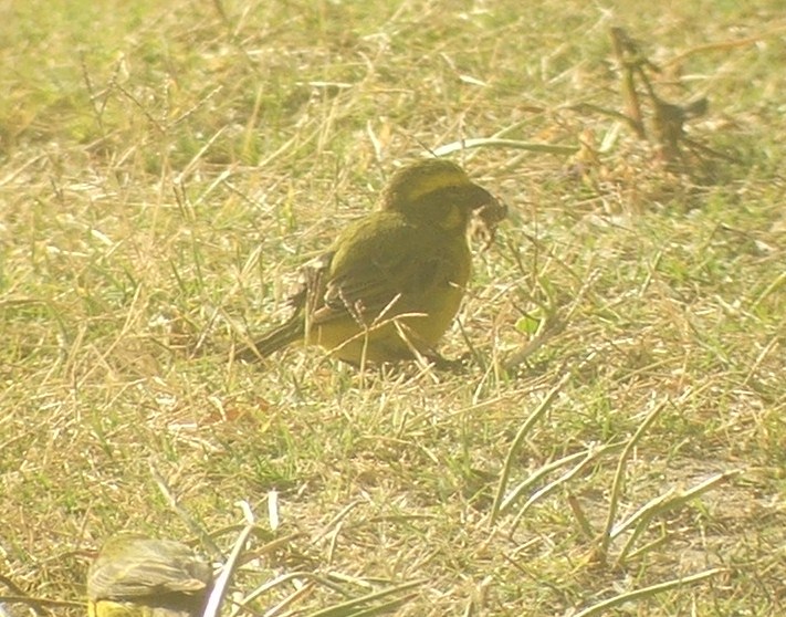 The Bagsy Blog: 11/20/12