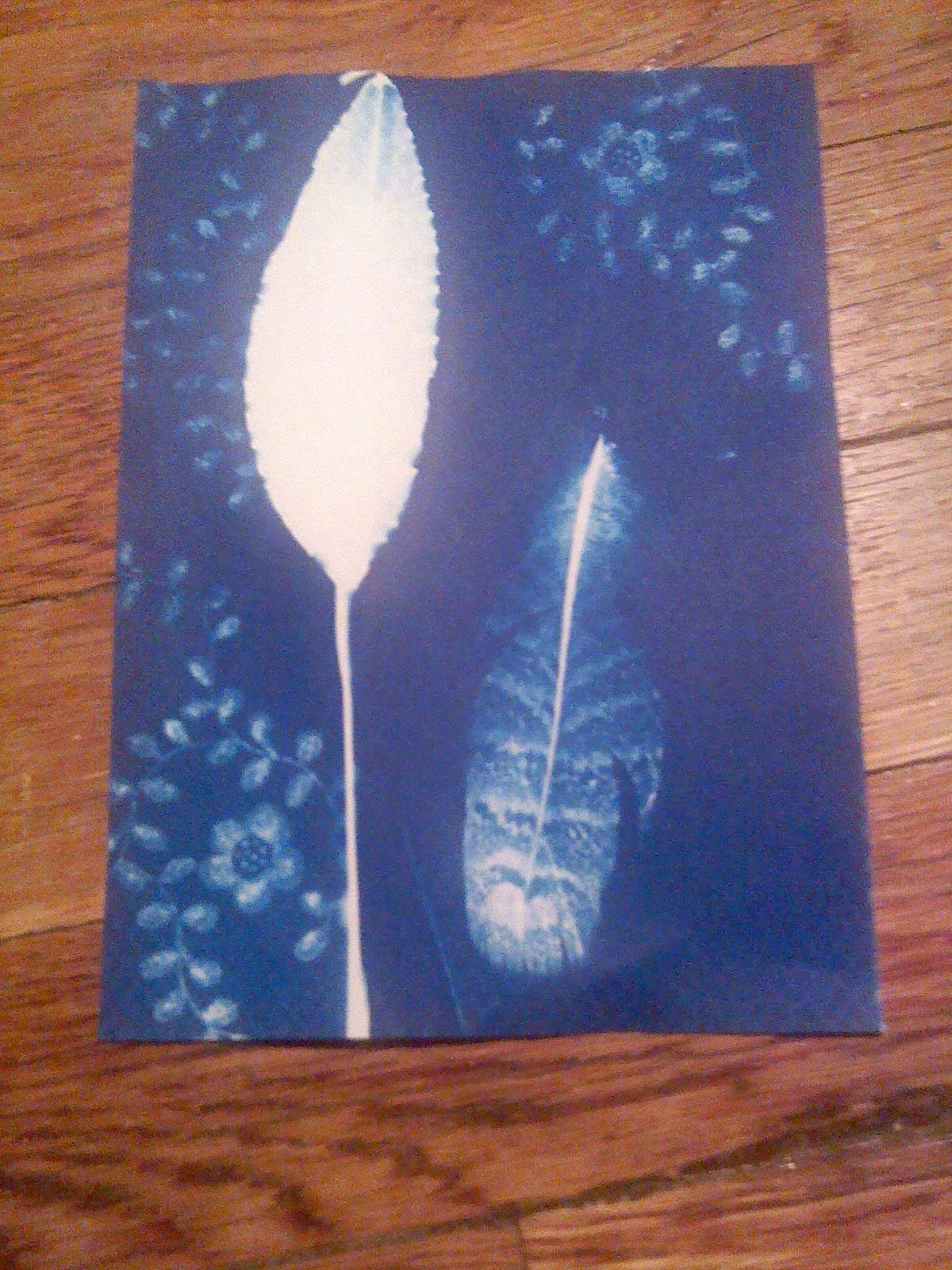 The Science Notebook : Cyanotype Printing Experiment (somewhat successful)