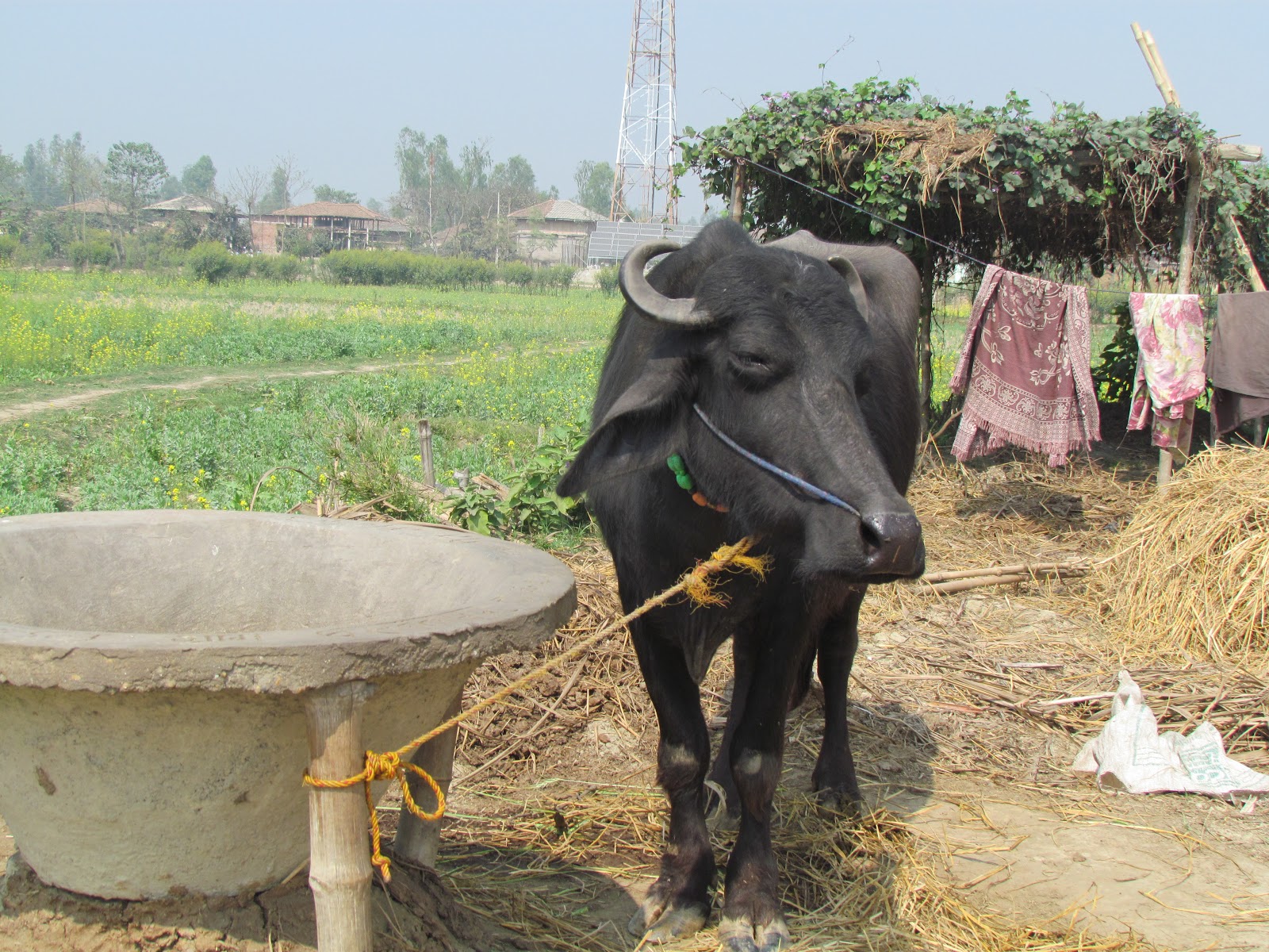 The Sarlahi District of Nepal