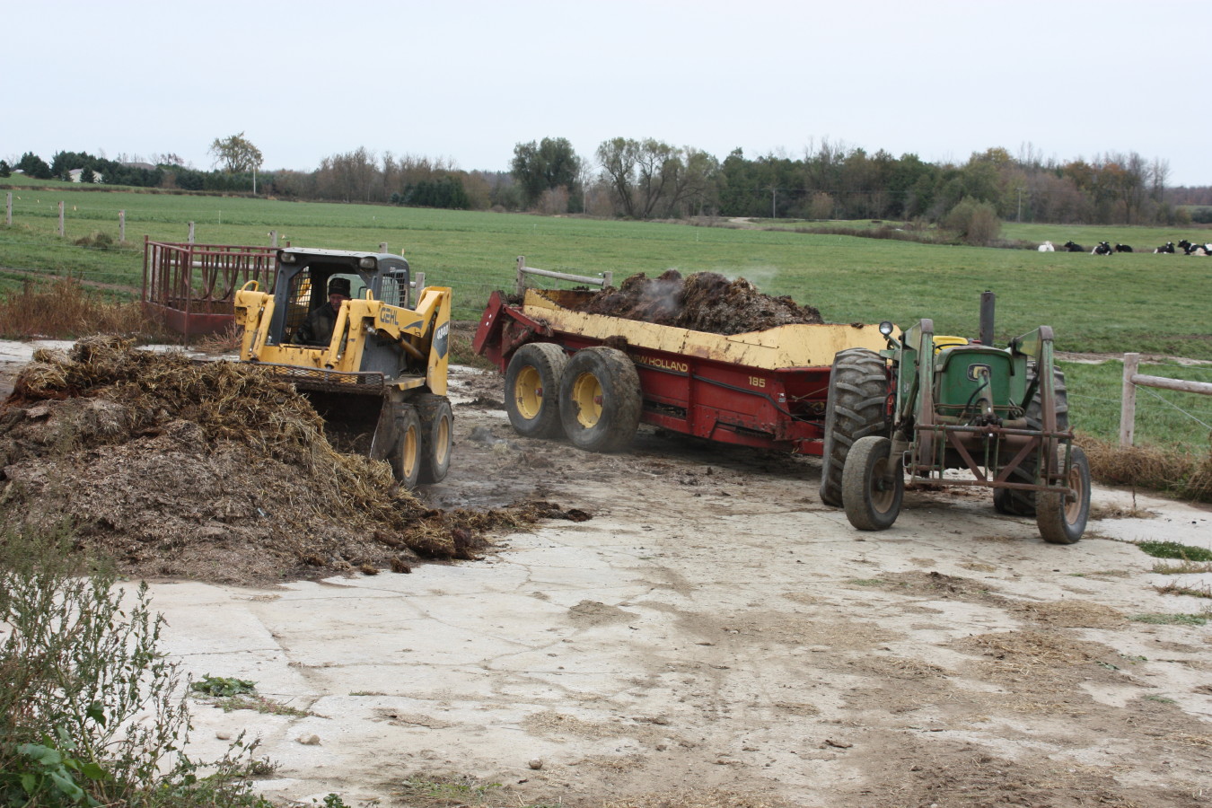Anja's Photo Journal: Solid Manure