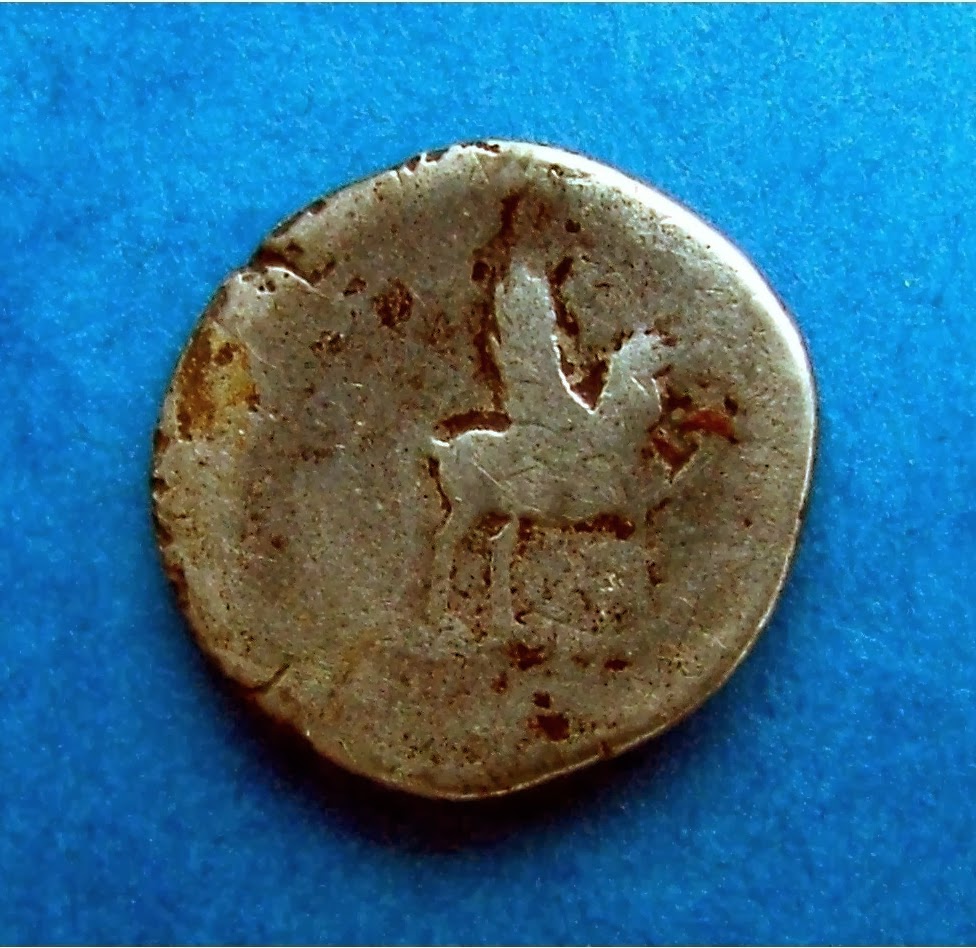 Roman Coins Collected: Domitian