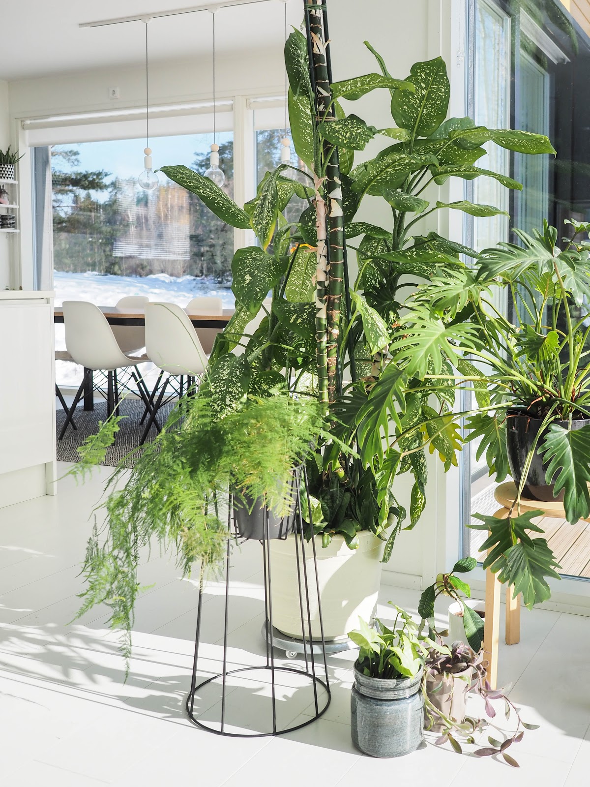 Sisustusvinkki nro2, viherkasvit ryhmiin! - Talostakoti