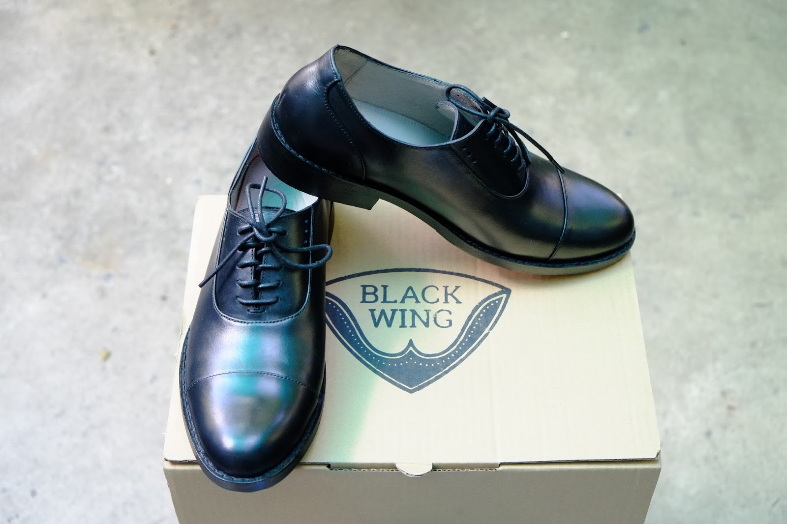 Anything Under The Sun: The Black Wing Shoes Experience