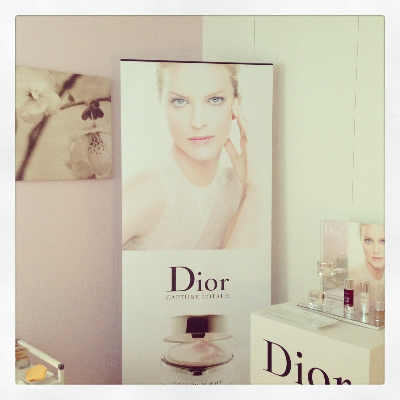Lipstick & Co, Healthy Fitness and Beauty: Ma matinée sur le stand Dior
