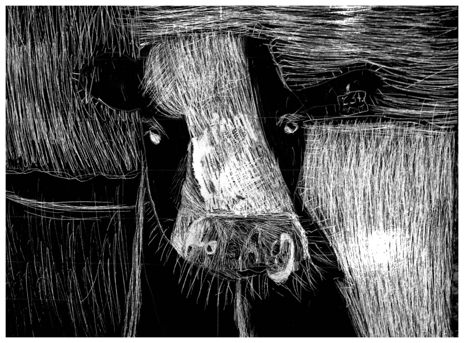 Open Window School Art: 5th Grade Animal Etchings