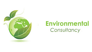 How to Select Best Environment Consulting Services in India