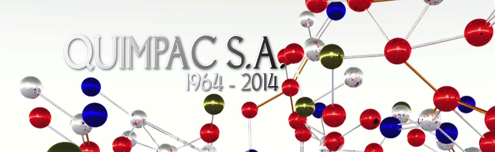 QUIMPAC S.A.: Introducción