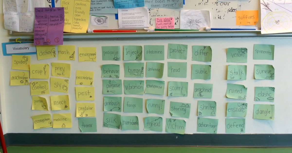 A Teacher's Idea: The Importance of Word Walls