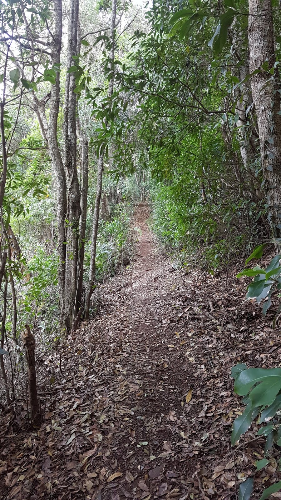 Steventure: Bong Bong Pass