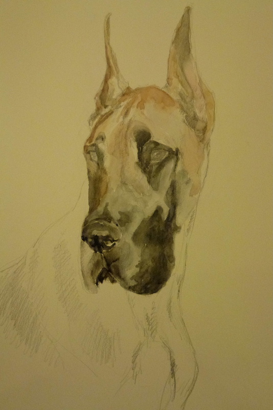 Maren Phillips: GOING PLACES