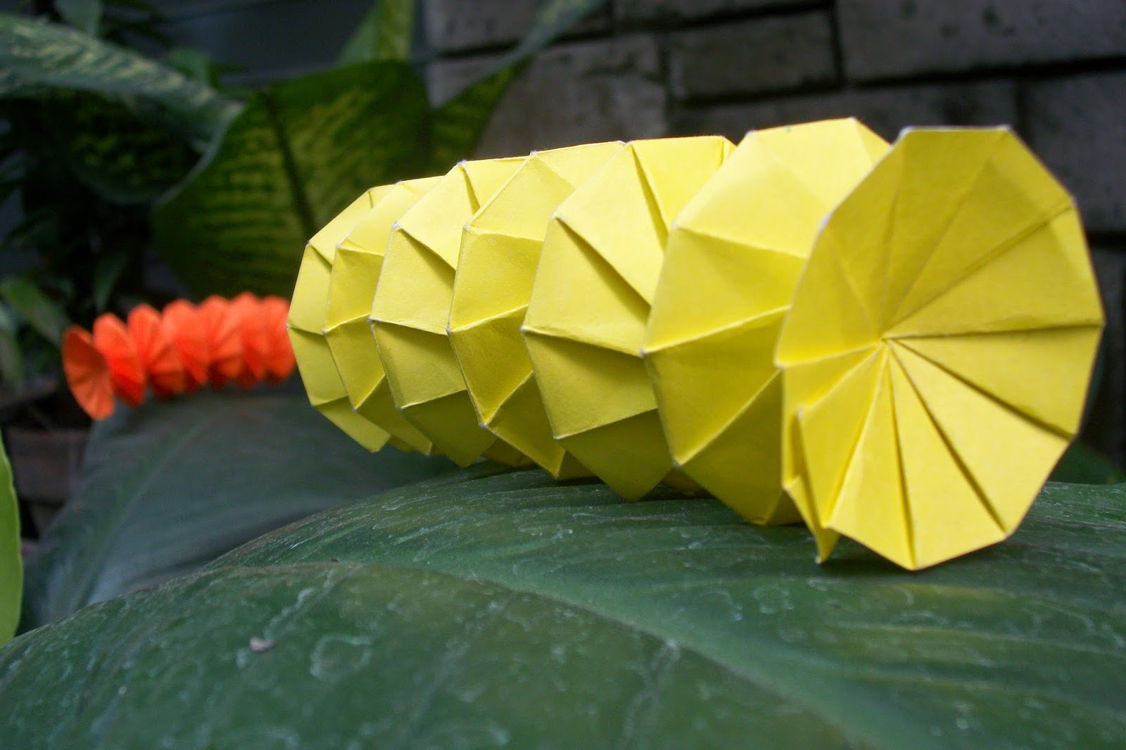 Yey! Origami: Spring Into Action