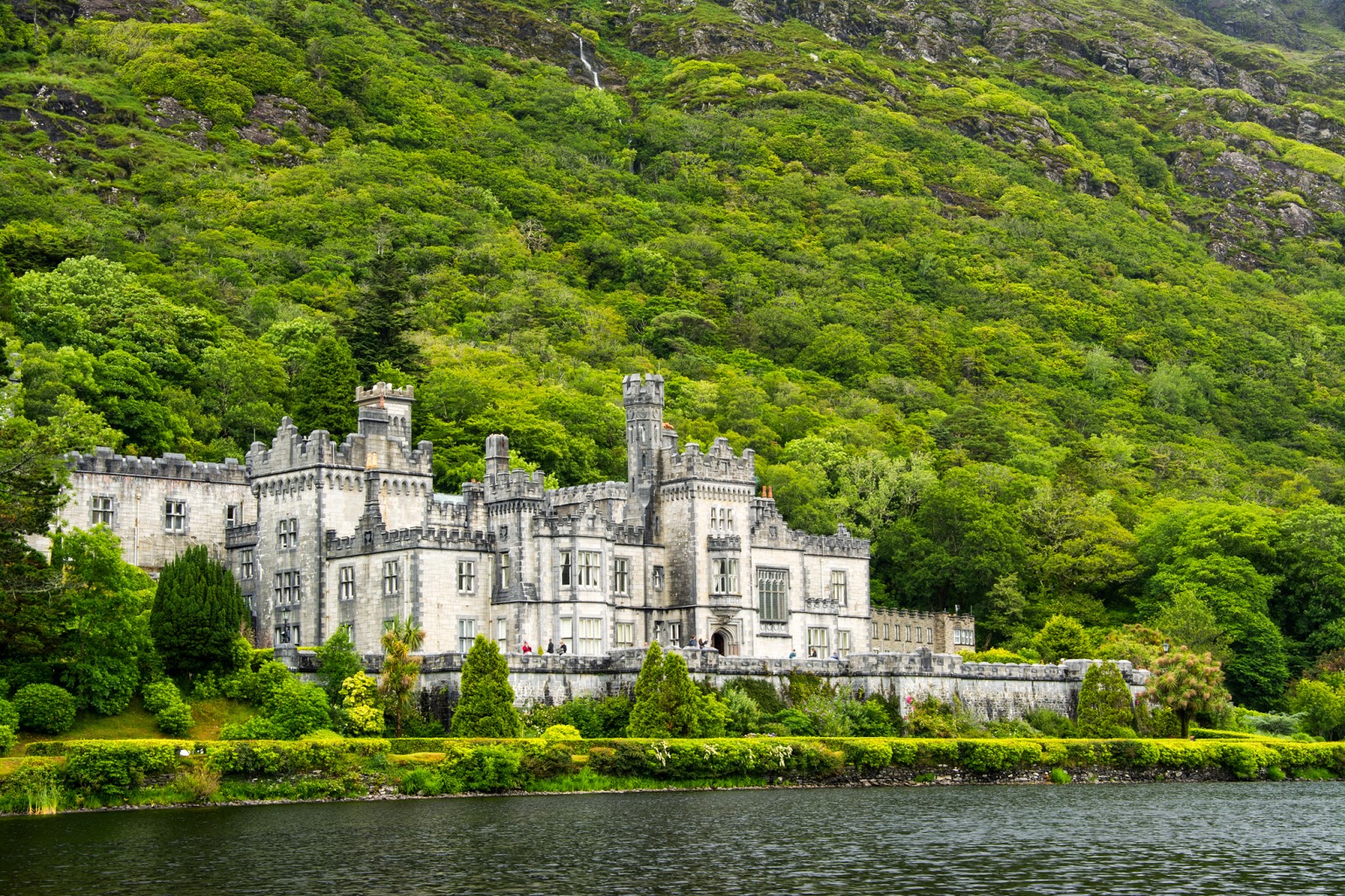 A Tree Falling: Kylemore Abbey, Lough Inagh and Connemara Marble