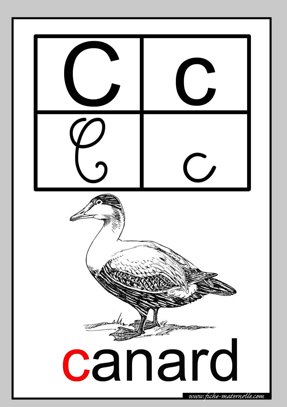 La classe de Fabienne: 2015