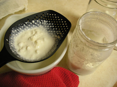 Thoughts from Frank and Fern: Trying Kefir
