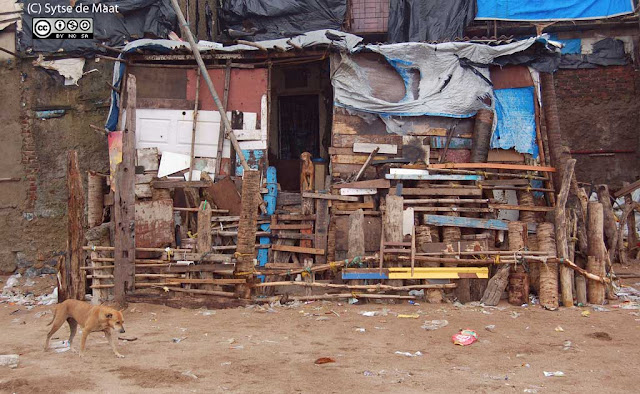 The Perfect Slum: The Slums and the Sea